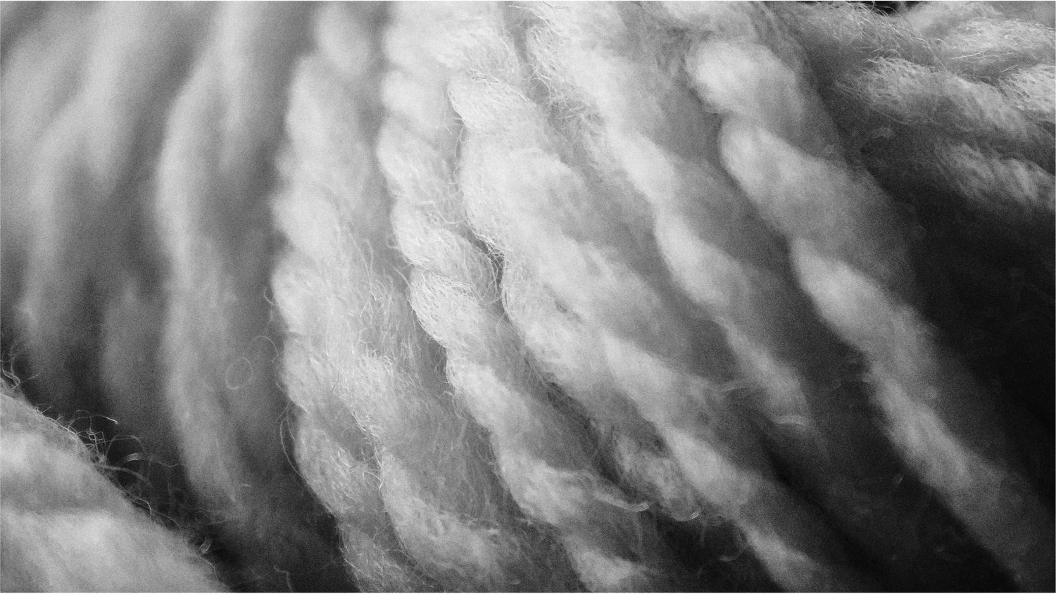 A NEW STANDARD IN WOOL PROCESSING – ACRUX Wool Systems